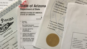 IRS Form 6166 Apostille